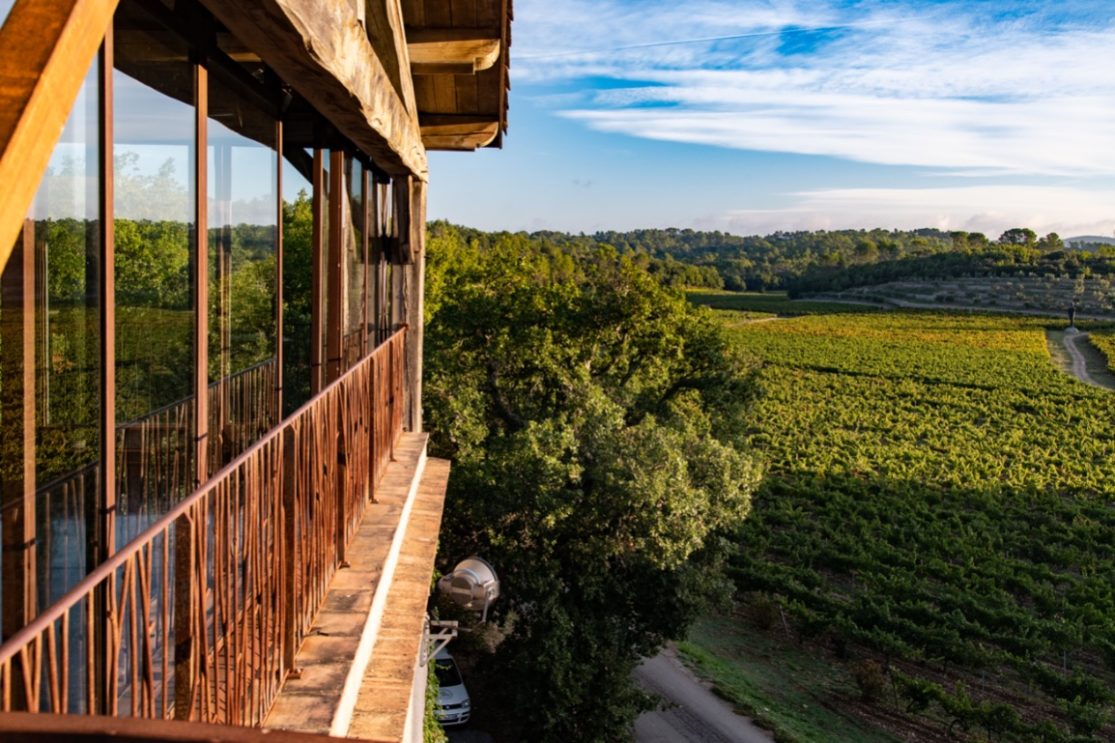 Barry Bayat: The Founder of the New Rosé Everyone Is Drinking This ...